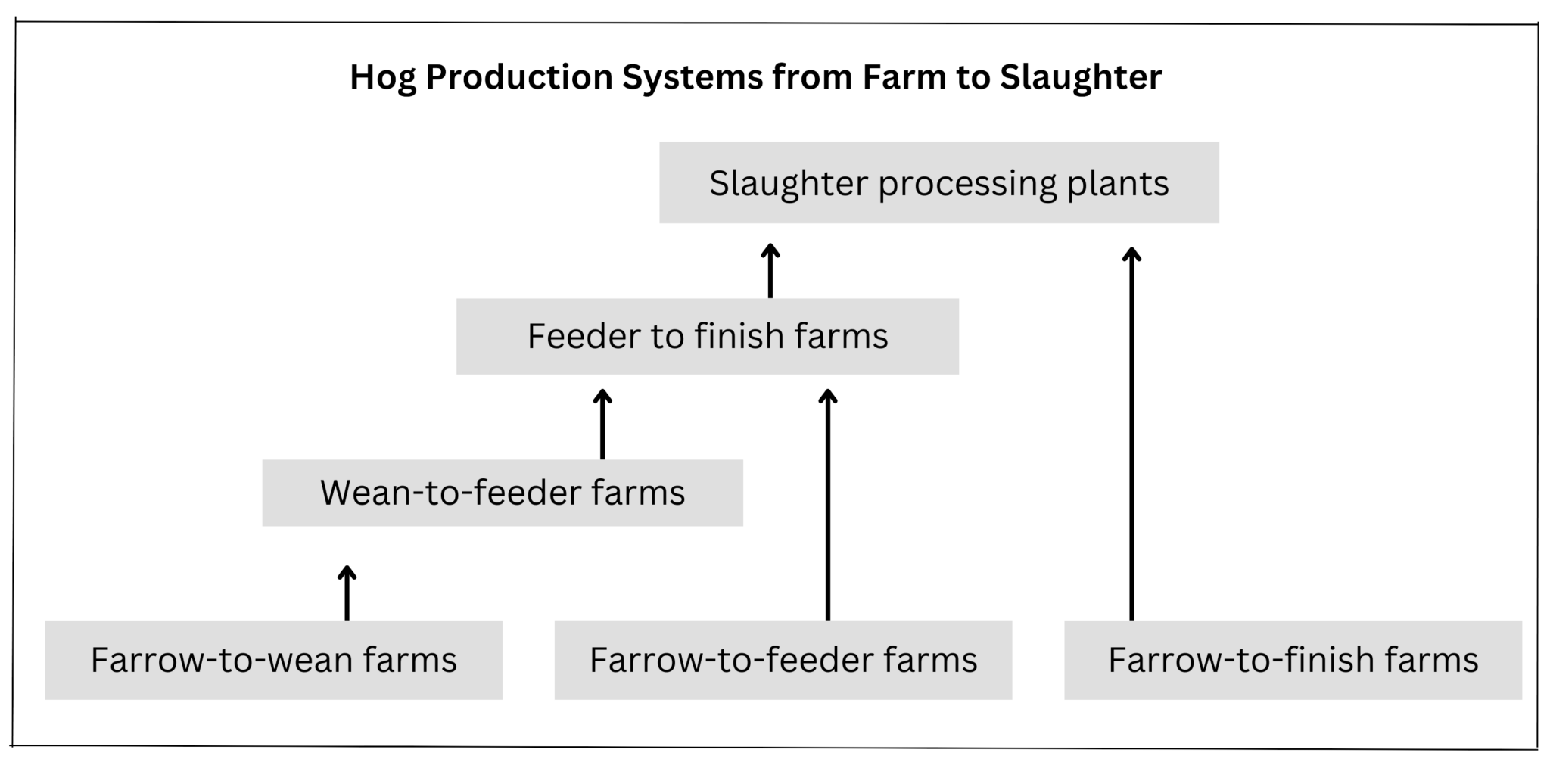 Pig Factory Farm Sizes - Inside Animal Ag