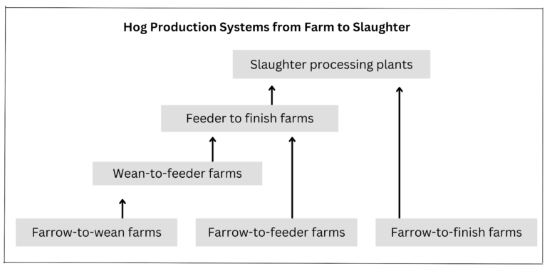 Pig Factory Farm Sizes - Inside Animal Ag
