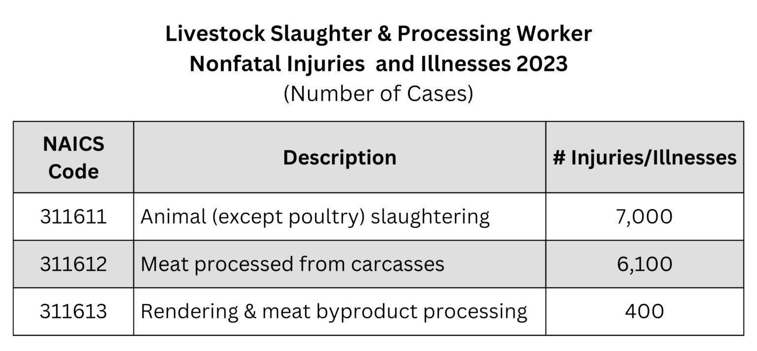 Livestock Slaughter and Processing Worker Injury & Illness - Inside ...