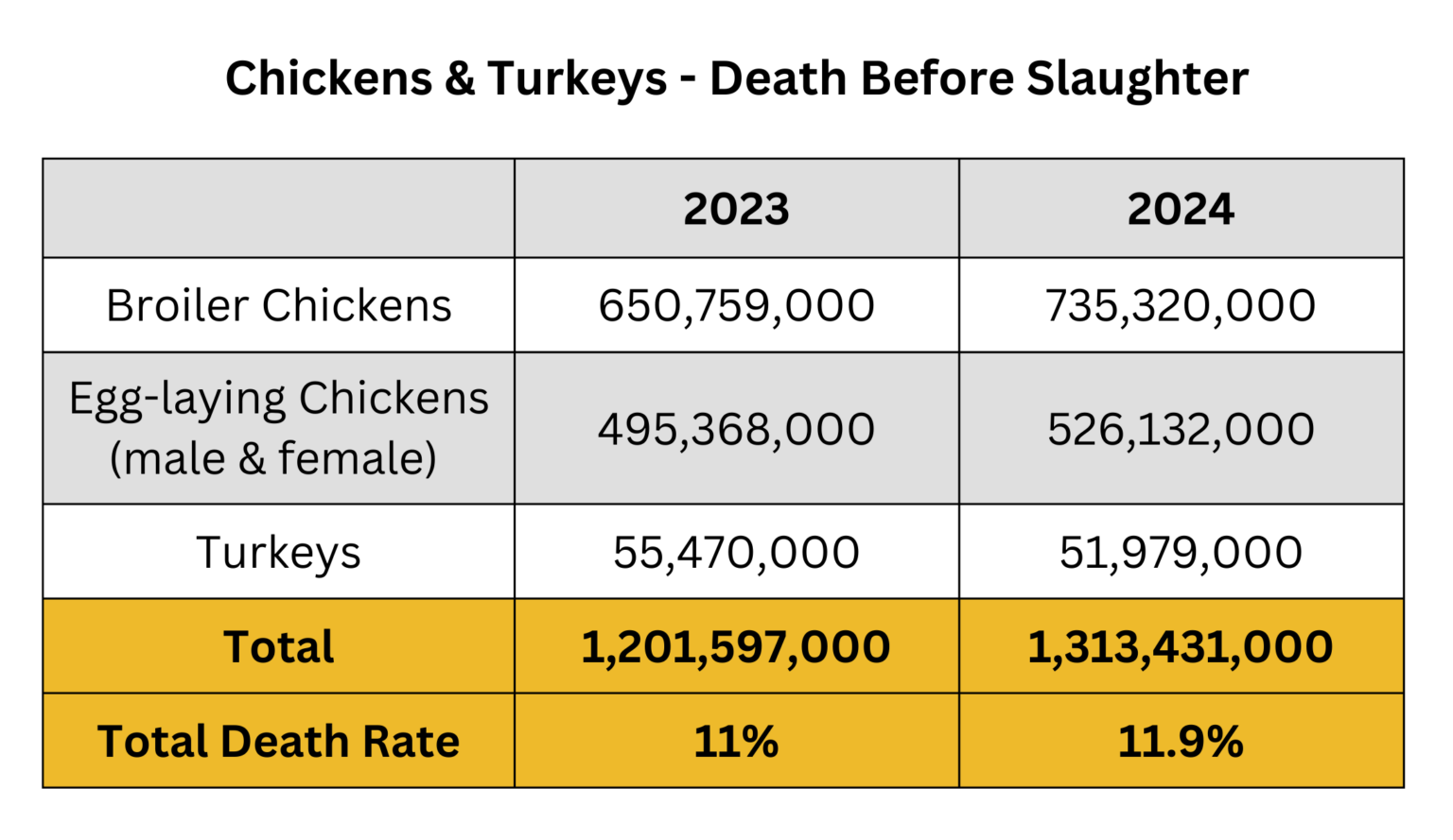 Poultry Death Before Slaughter - Inside Animal Ag