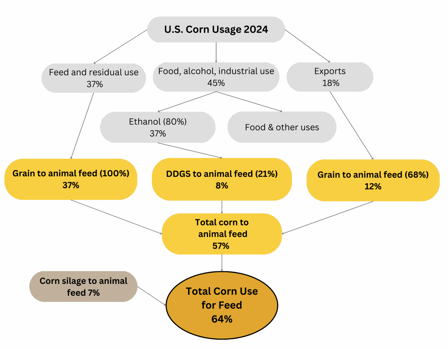 Inside Corn - How much really goes to animal feed and why it matters ...