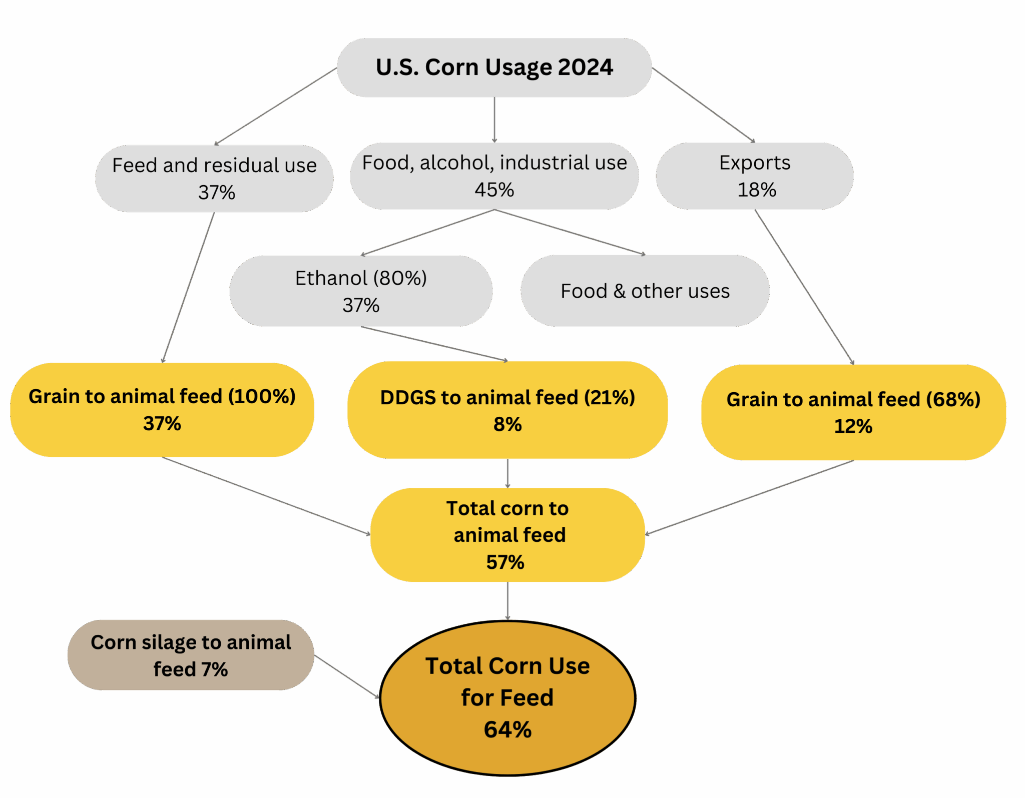 Inside Corn - How much really goes to animal feed and why it matters ...