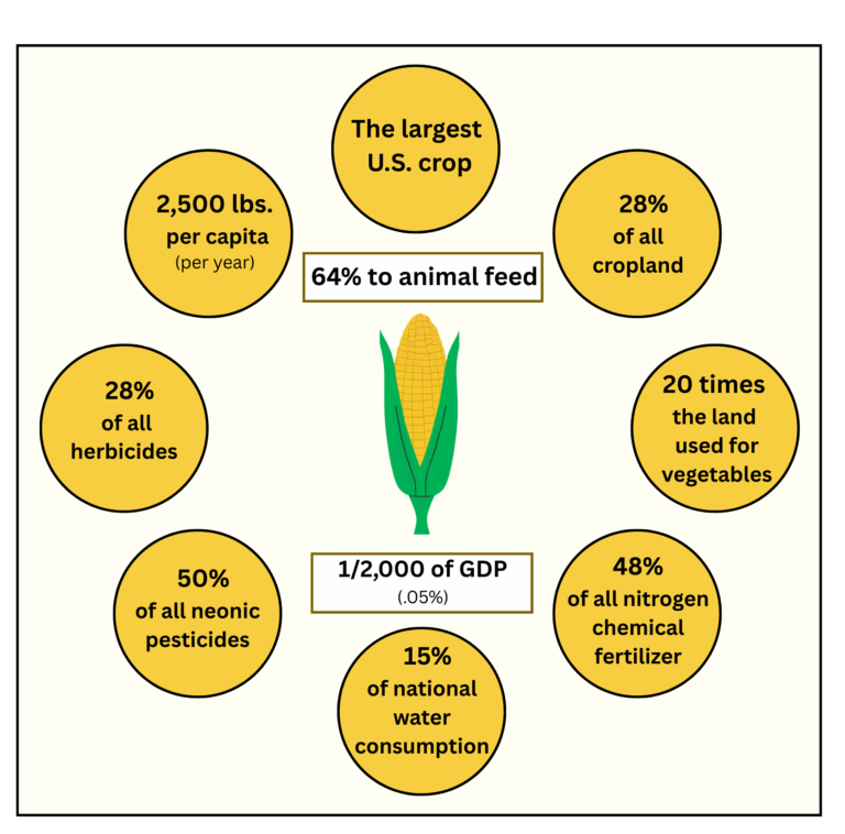 Inside Corn - How much really goes to animal feed and why it matters ...