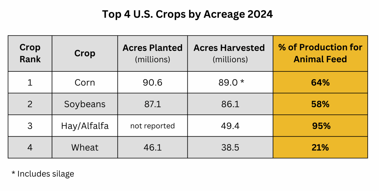 Share of Hay and Wheat for Feed - Inside Animal Ag