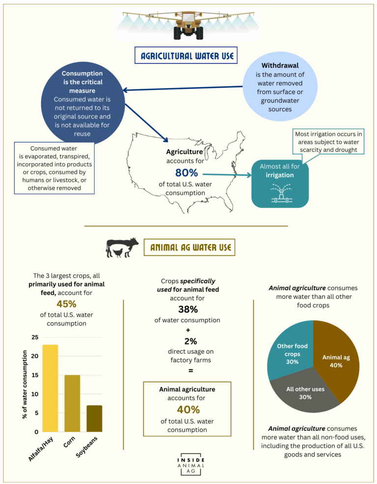 Infographic - Agricultural Water Usage - Inside Animal Ag