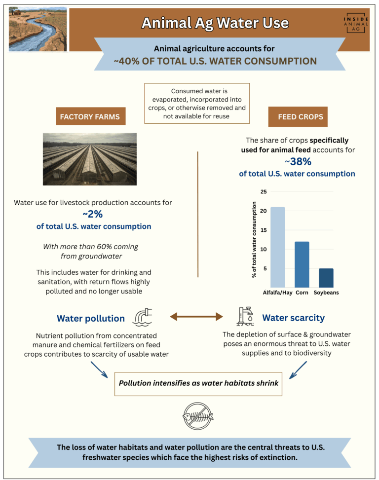 Infographic - Animal Ag Water Usage - Inside Animal Ag