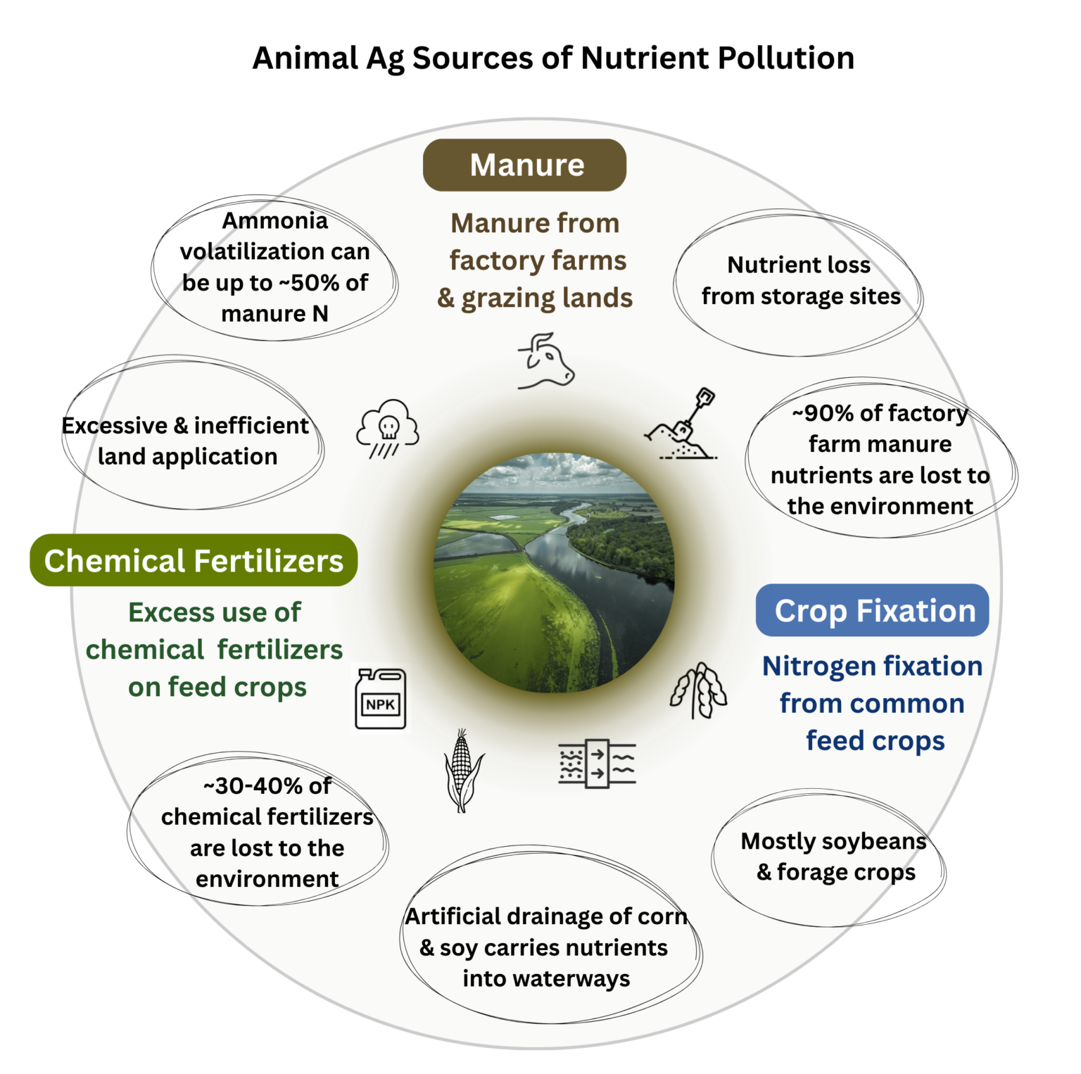 Animal Ag Water Pollution Sources - Inside Animal Ag