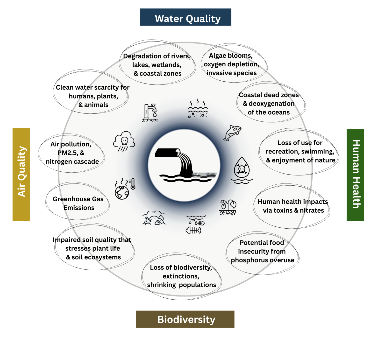 Nutrient Pollution of Waterways - Inside Animal Ag