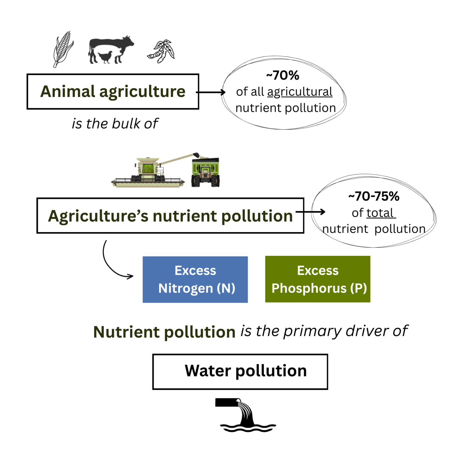 Water Pollution and Animal Ag Overview - Inside Animal Ag